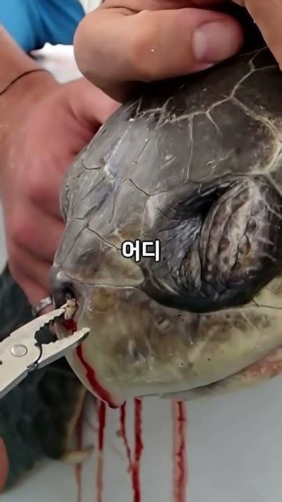 물에 집어넣어도 안 젖는 종이 Youtube