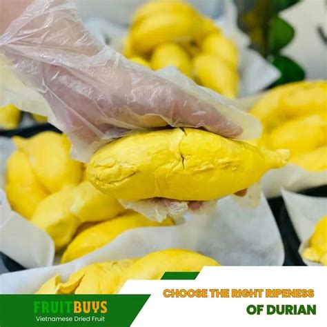 Durian Recipes The King Of Fruits And Its Culinary Versatility