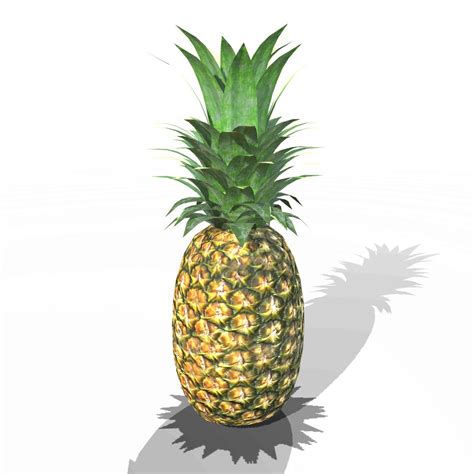 Pineapple 3d Model Turbosquid 2052254