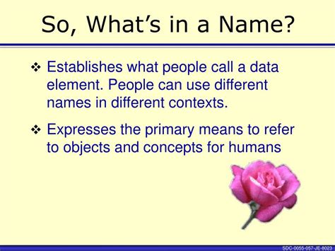 PPT ISO IEC 11179 Part 5 Naming And Identification Principles For Data Elements PowerPoint