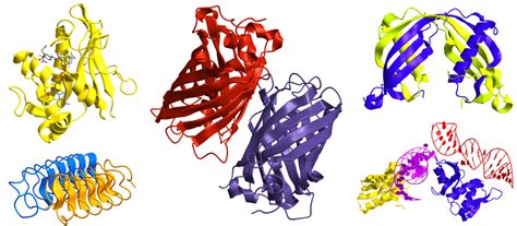 Biomoleculeplot3d Visualizing Proteins And Other Biomolecules Online Technical Discussion
