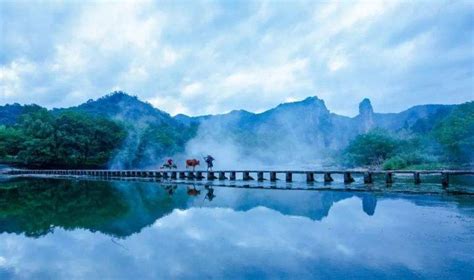【浙江丽水】丽水市庆元县引进24名高层次人才、紧缺专业人才公告 知乎