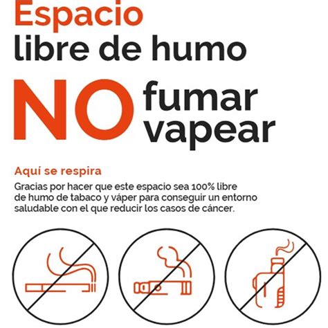 Voluntariado En Palma De Mallorca Baleares Voluntariado De