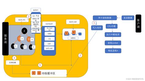 Socket网络编程以及select、poll、epoll详解（万字长文）socket Poll Csdn博客