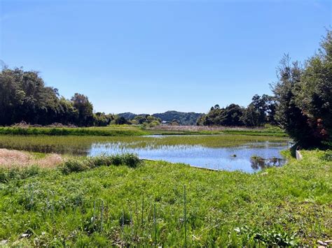 千葉県いすみ市3泊4日の旅余白がもたらす自由と幸福を感じた時間 Romy ロミー