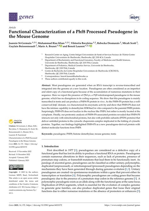 Pdf Functional Characterization Of A Phf8 Processed Pseudogene In The Mouse Genome Pdf Functional Characterization Of A Phf8 Processed Pseudogene In The Mouse Genome