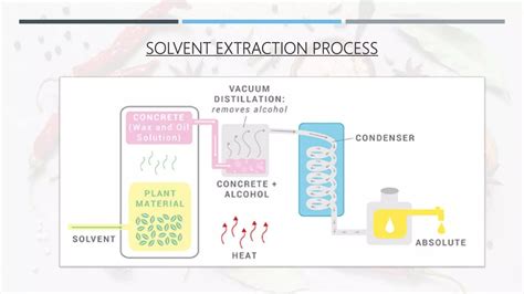 Microwave Assisted Extraction Of Spice Oleoresins And Oils Ppt