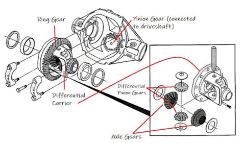 What Does A Rear Differential Look Like At Sara Swasey Blog