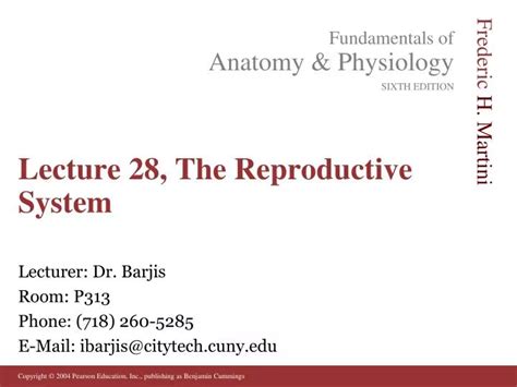 Ppt Lecture The Reproductive System Powerpoint Presentation Free