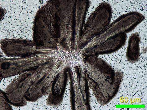 Podcast 126 Exploring Non Destructive Analysis Of Ceramics Us National Park Service