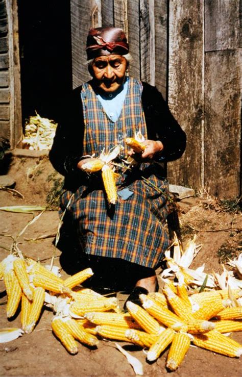 Cultura Mapuche Mujer Mapuche Limpiando Choclos Fotografía De Martin