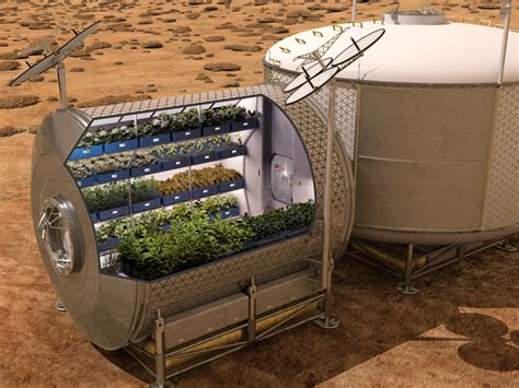 Tests Indicate Which Edible Plants Could Thrive On Mars Eos