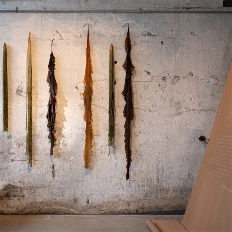 Iris Van Herpen Designs First Of Its Kind Glowing Algae Dress