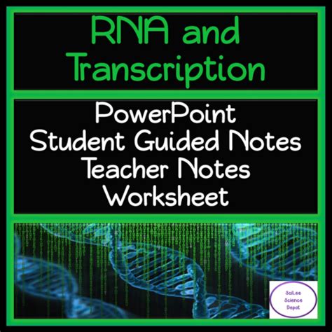 Genetics RNA Transcription PowerPoint Worksheet Made By Teachers