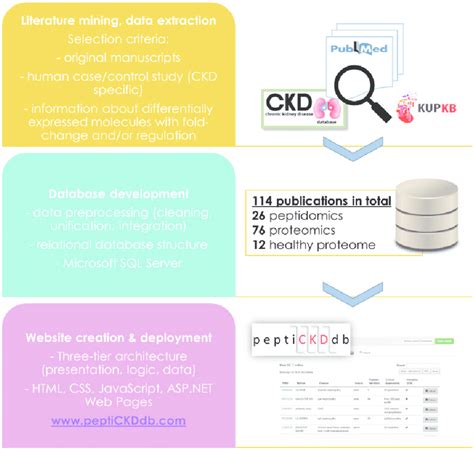 Steps Followed In The Database Development Workflow Download Scientific Diagram