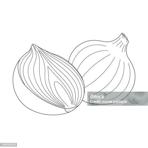 손으로 그린 아이 그림 만화 벡터 일러스트 레이 션 양파 아이콘 백색에 고립 0명에 대한 스톡 벡터 아트 및 기타 이미지 0