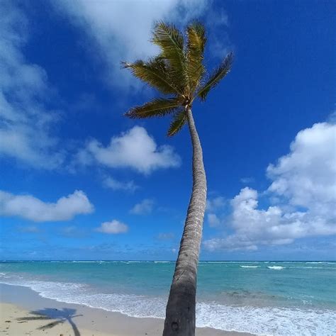 Thibaut Coffinet Youtube