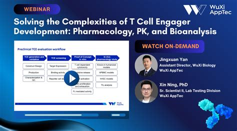 Solving The Complexities Of T Cell Engager Development Wuxi Biology