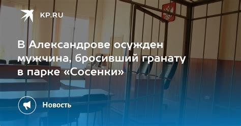 В Александрове осужден мужчина бросивший гранату в парке «Сосенки Kp Ru