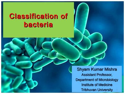Classification Of Bacteria Ppt