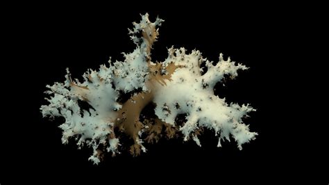 Bipolar Oriented Triangulation 3 3d Model By Timothy Budd Tgbudd