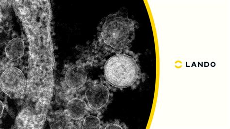 Qsofa Score Sepsis Frühzeitig Erkennen