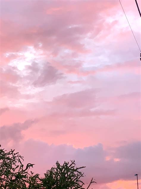 Imágenes Rosas Aesthetic