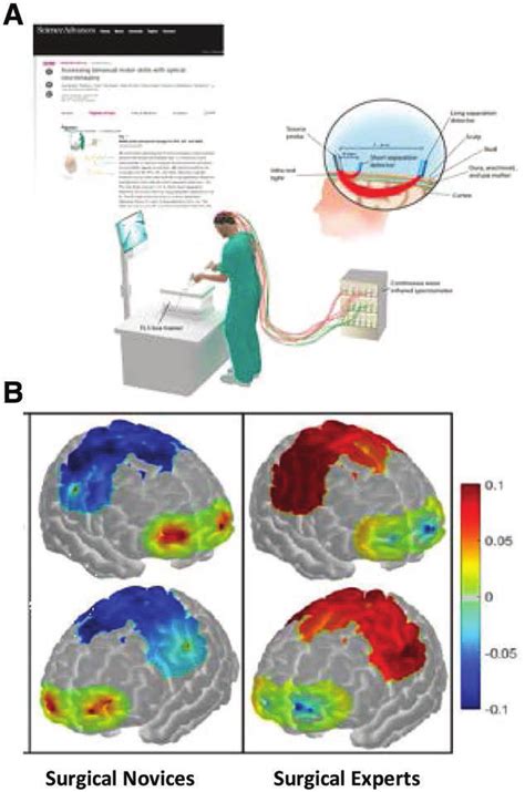 Fnirs Fls Study And Data A Fnirs Physiology Diagram And Set Up During