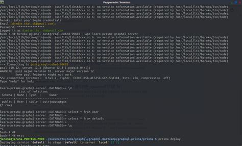 Prisma Can Not Access Heroku Postgress Data Using Herokucli Stack Overflow