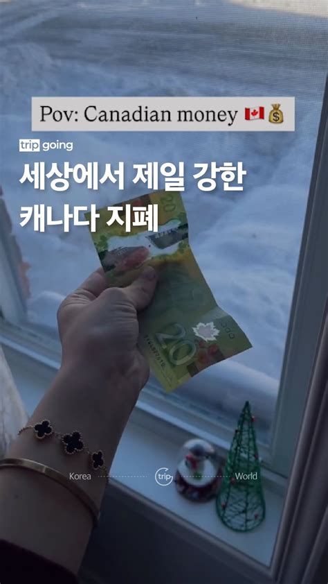 트립고잉 Tripgoing 스페이스x Spacex 가 2025년 첫 임무이자 7번째 시험 발사에 실패했습니다 🔥 현지 시간 오후 5시 38분 발사된 로켓은 핵심 위성