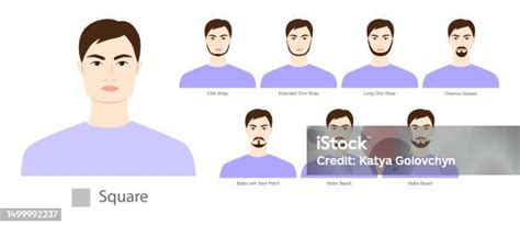정사각형 얼굴 모양과 콧수염 남자 그림에 대한 수염 스타일 세트 수염 벡터 초상화 남성 패션 템플릿 그루터기 얼굴부위 털에 대한 스톡 벡터 아트 및 기타 이미지 Istock