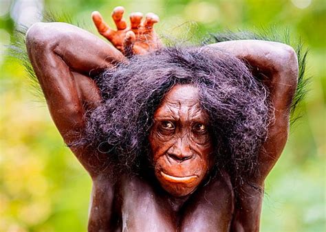 Australopithecus Sediba Wikipedia