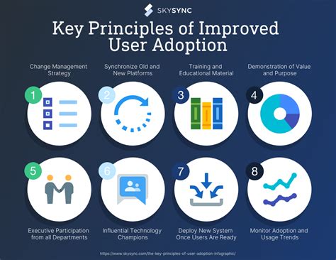 User Adoption Infographic Key Principles And Best Practices