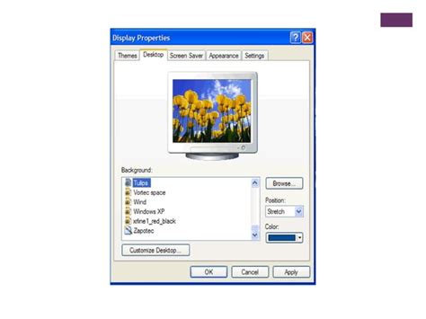 Lesson5 Customizing Windows Pptx Operating Systems Computer