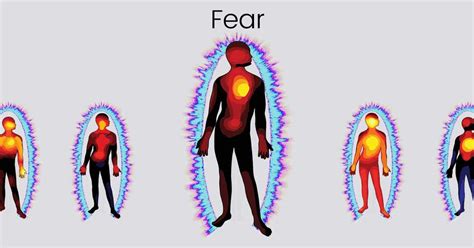 How The Brain Reacts When We Feel Fear And Prepares For Fight Or Flight
