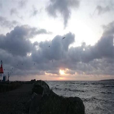 Birds Data Roboflow Universe