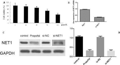 Propofol Inhibited Smmc 7721cell Viability Through Regulating Net1