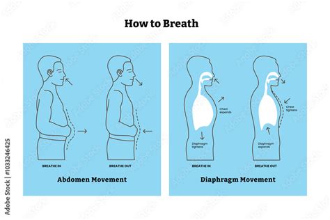 Set Of Breathing Step By Step Guide Poster Design Abdomen Movement And Diaphragm Movement