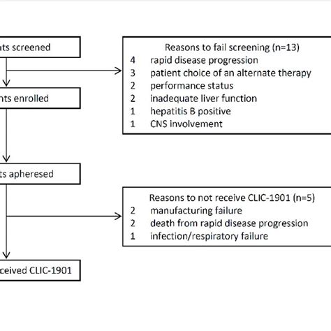 Apheresis Material And Car T Cell Product Characteristics Download