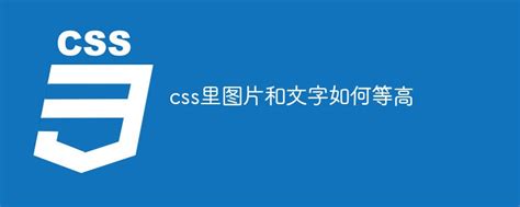 html如何让文字图片同高 css里图片和文字如何等高 csdn博客