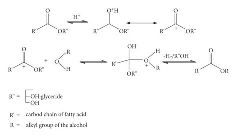 Acid Catalysed Process For Transesterification Of Vegetable Oils 93 Download Scientific Diagram