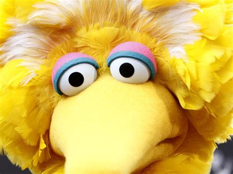 A Big Deal Pbs And Big Bird Become Political Symbol Of Election Season