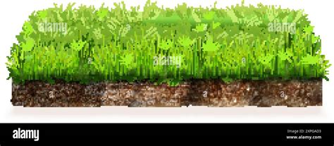 Realistic Land Piece 3d Soil Square Plot Pieces Floating Isolated