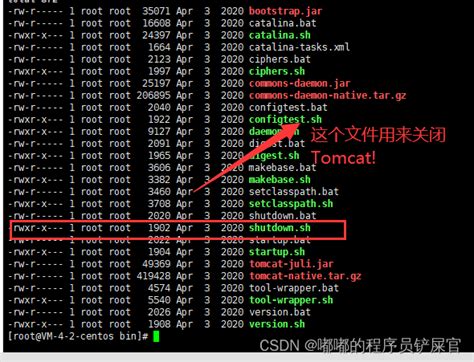 Linux centos 搭建Java开发环境 保姆级教程 阿里云开发者社区