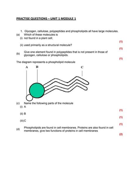 Practise Questions Unit1module1 Pdf