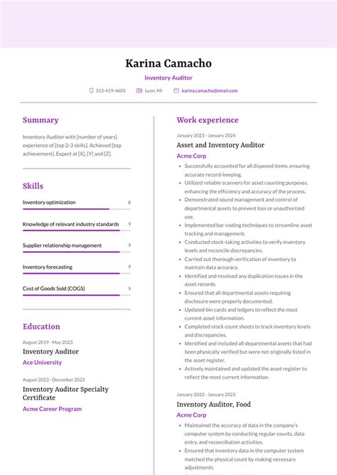 Inventory Auditor Sample Resume Auditor Resume Examples And Writing