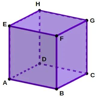 Calcula Formas