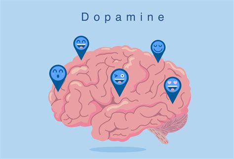 How To Increase Dopamine Naturally Ethical Inc