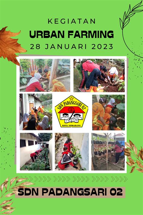 Kegiatan Urban Farming