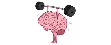 Brain Training — Optimizing Outcomes By Modifying Behavioral Learning